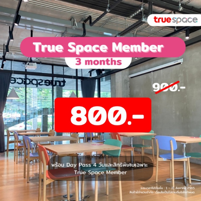 บริการของทรูสเปซ - True Space