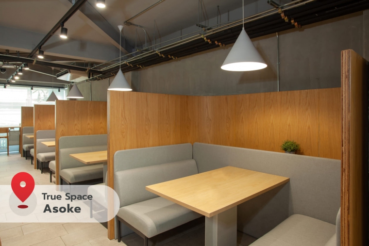 บริการของทรูสเปซ - True Space