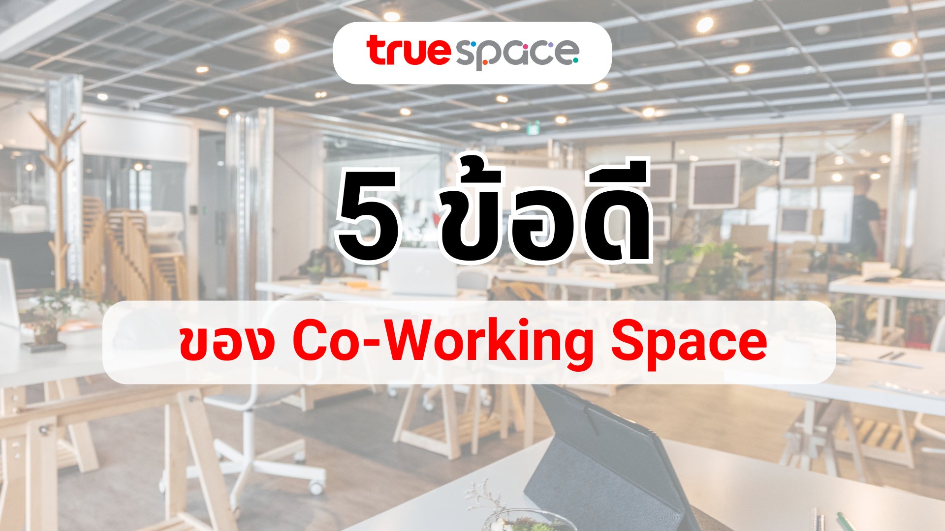 5 ข้อดี ของ Co-Working Space - True Space